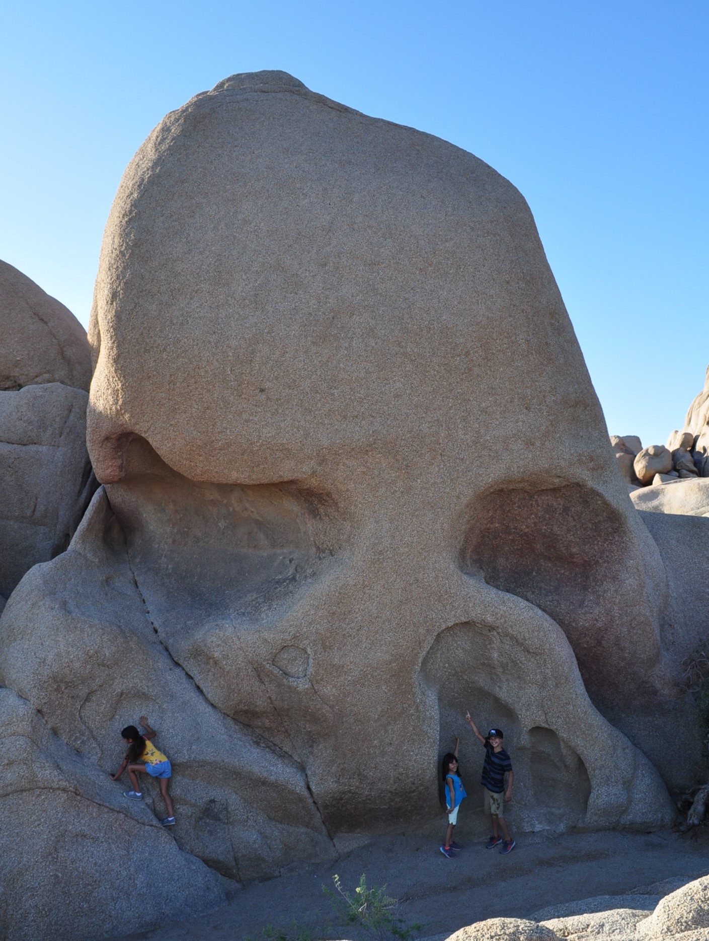 Roadschooling Joshua Tree National Park | COOKing Up Adventures